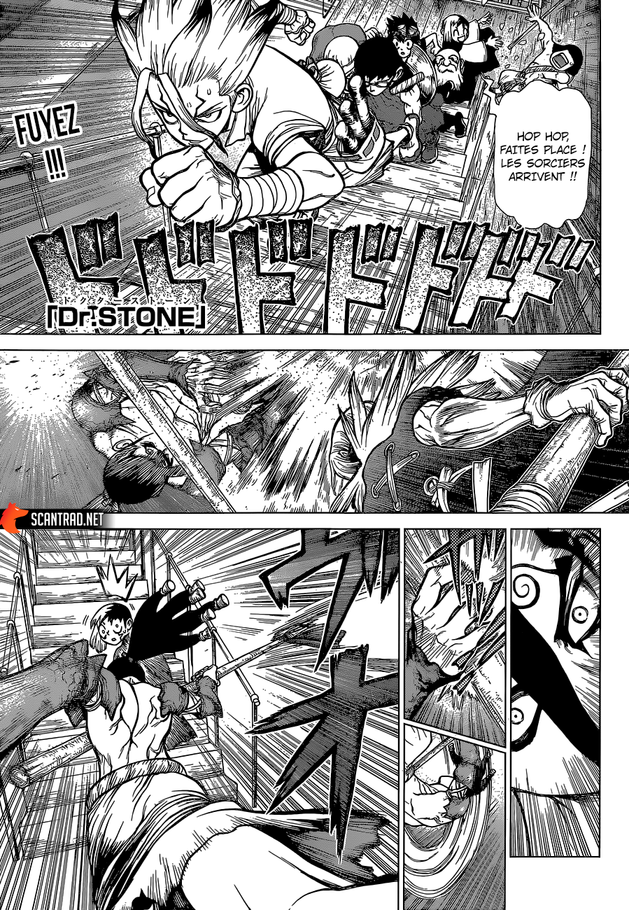 Scan Dr. Stone Chapitre 131 : Le crime d'avoir une tête de con - Page 1 ...