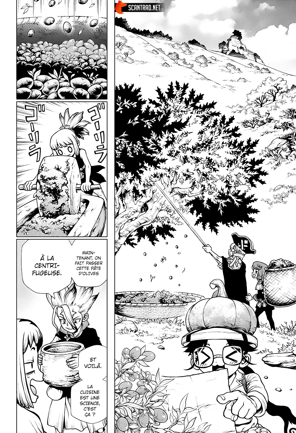 Scan Dr. Stone Chapitre 202 : Conglomérat Ryusui - Page 5 sur ScanVF.Net